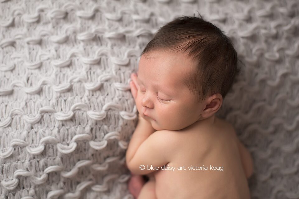Bradley | New Berlin Springfield IL Newborn Photographer » Springfield ...