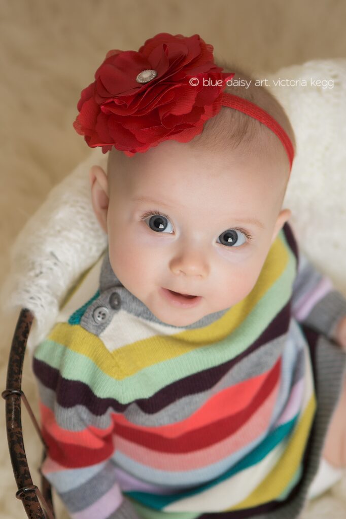 Maddy 6 months | Springfield IL Baby Photographer » Springfield IL ...