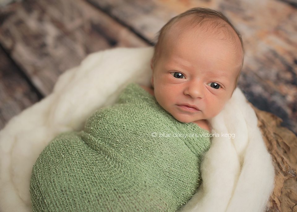 Lucas | Springfield Sherman IL Newborn Photographer » Springfield IL ...